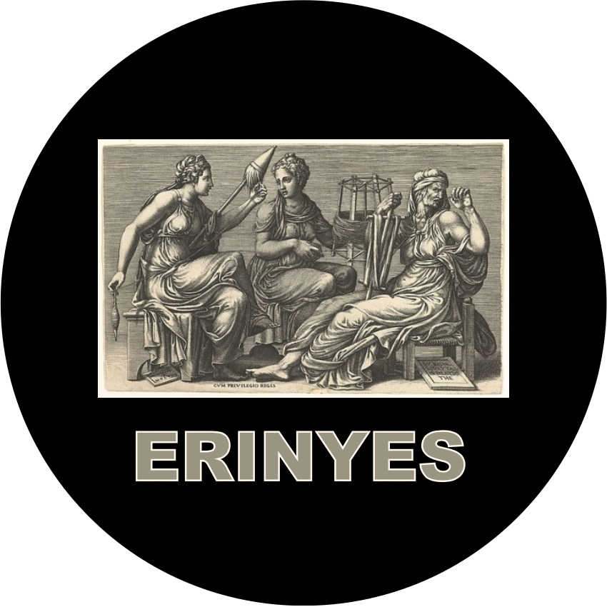 Declaration on Women's Sex-Based Rights - Women's Human Rights Campaign